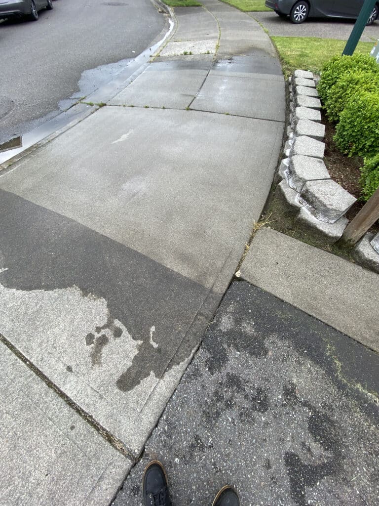Professional Pressure Washing in Maple Valley, WA